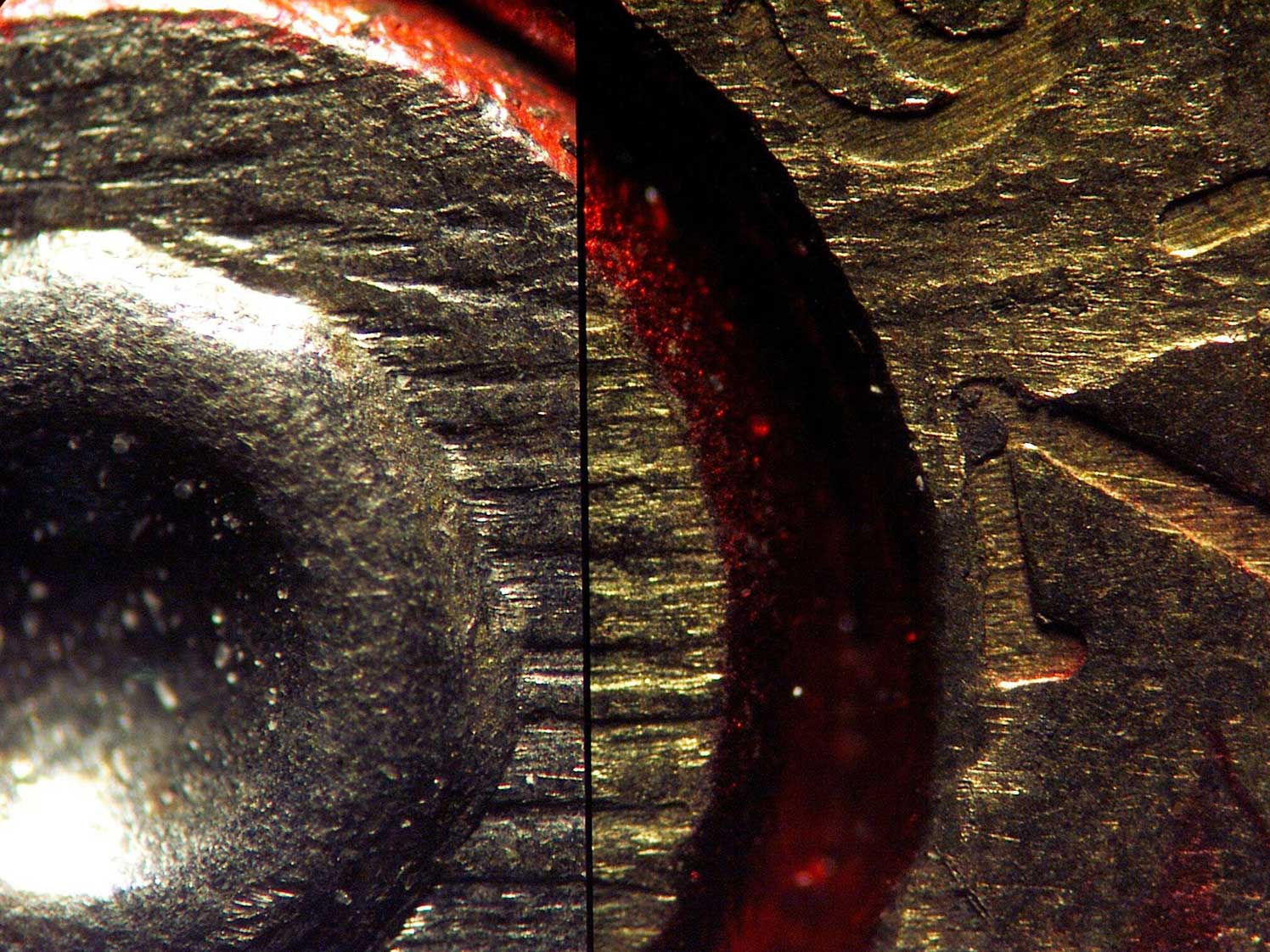 Microscope cameras: Capture the tiny discoveries | Jenoptik USA